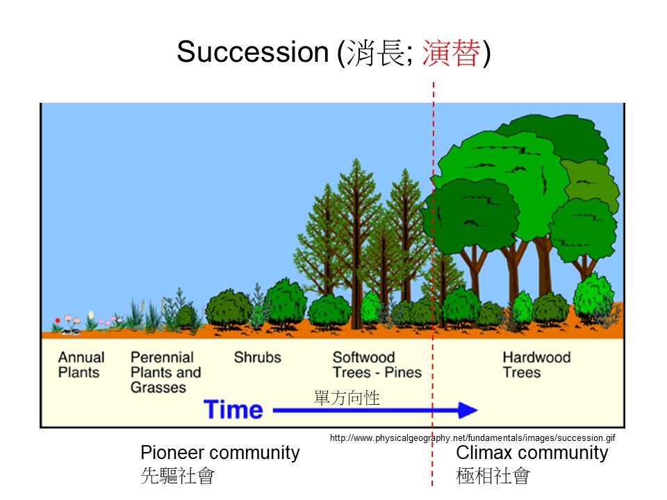 第十章 森林動態 – 臺灣山林復育協會